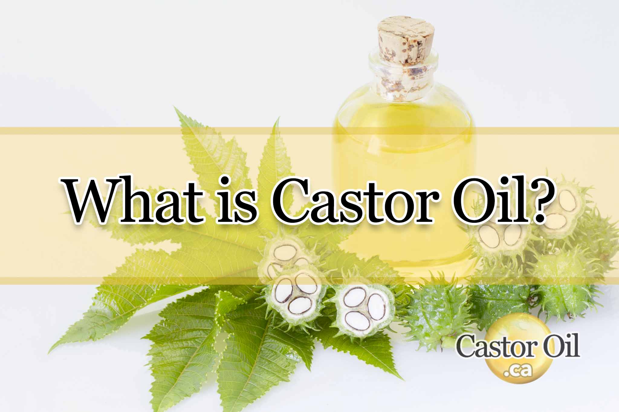 What is Castor Oil? - CastorOil.ca
